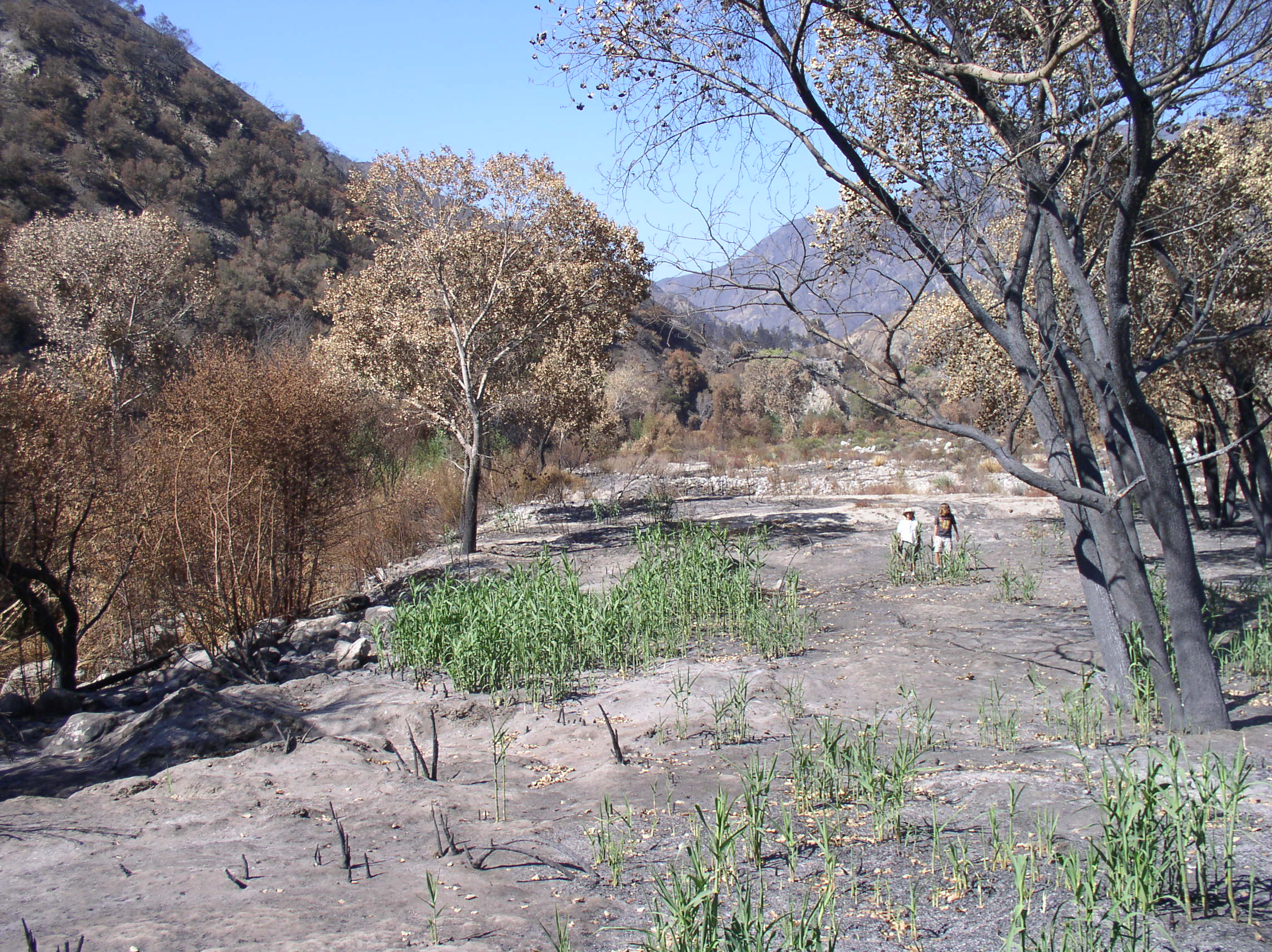 What can we expect this winter? – Microclimate Forms